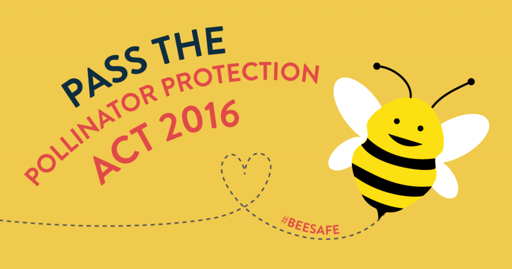 The First State to Ban Bee-Killing Pesticides - This Spaceship Earth